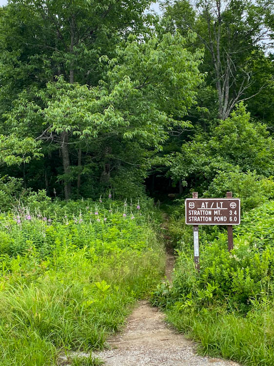 Long Trail Section 1 - Trekking Sketches