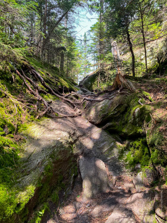 Long Trail Section 2 - Trekking Sketches