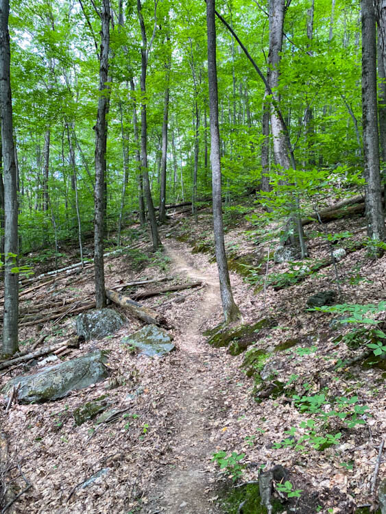 Long Trail Section 2 - Trekking Sketches