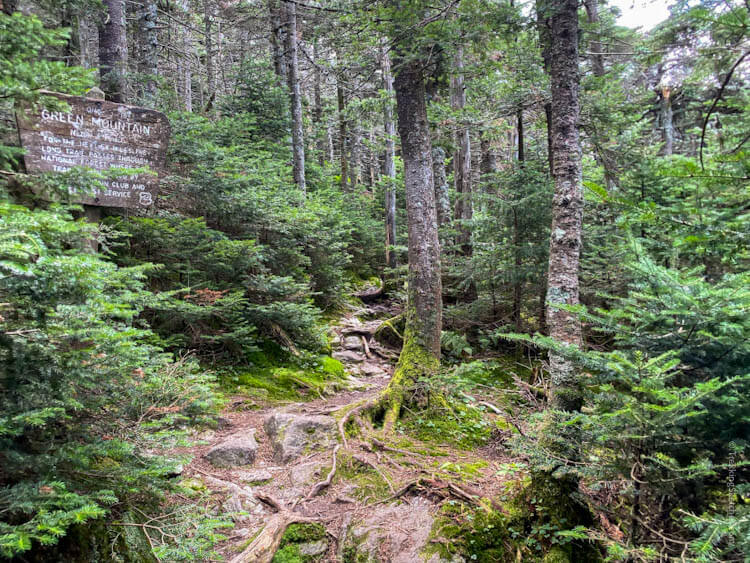 Long Trail Section 3 - Trekking Sketches