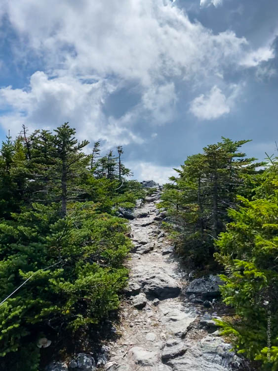 Long Trail Section 3 - Trekking Sketches