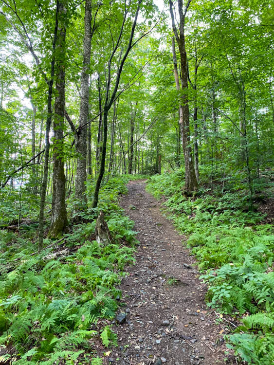 Long Trail Section 4 - Trekking Sketches