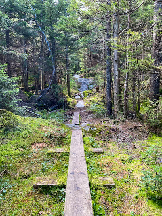 Long Trail Section 4 - Trekking Sketches