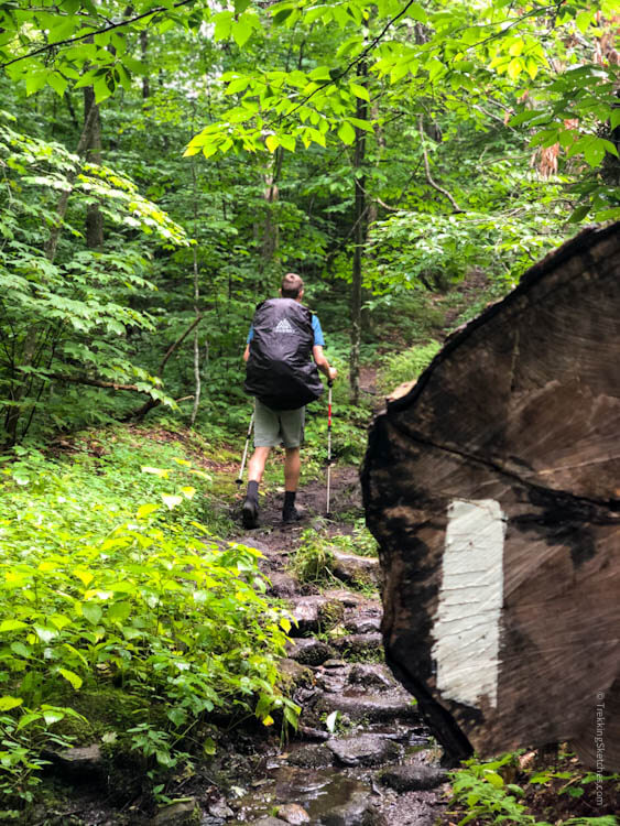 Long Trail Section 4 - Trekking Sketches