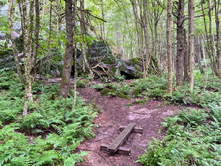 Long Trail Section 4 - Trekking Sketches