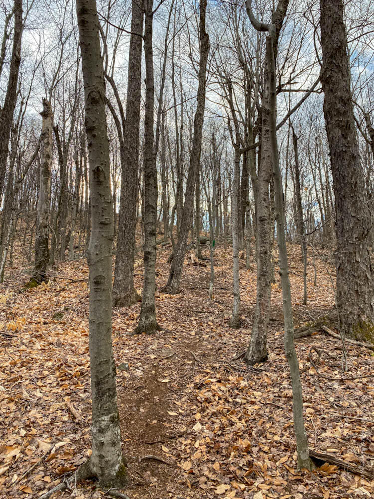 Belknap Range Hike 1: Mount Major Sunset Hike - Trekking Sketches
