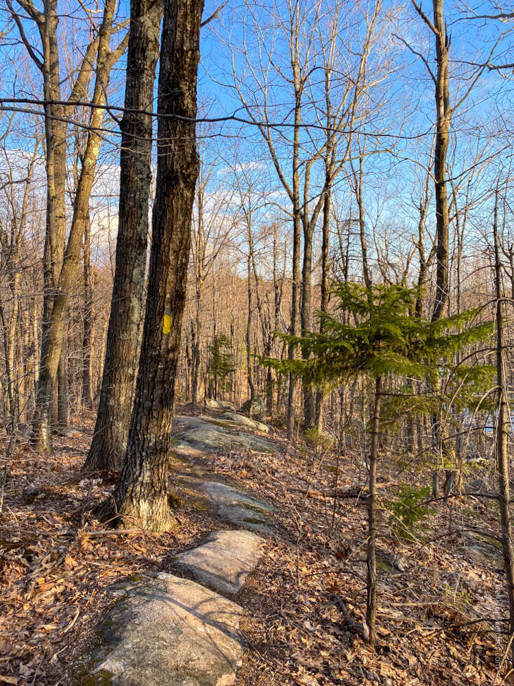 Belknap Range Hike 1: Mount Major Sunset Hike - Trekking Sketches