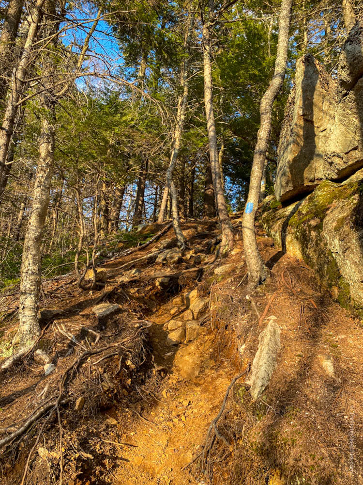 Belknap Range Hike 1: Mount Major Sunset Hike - Trekking Sketches