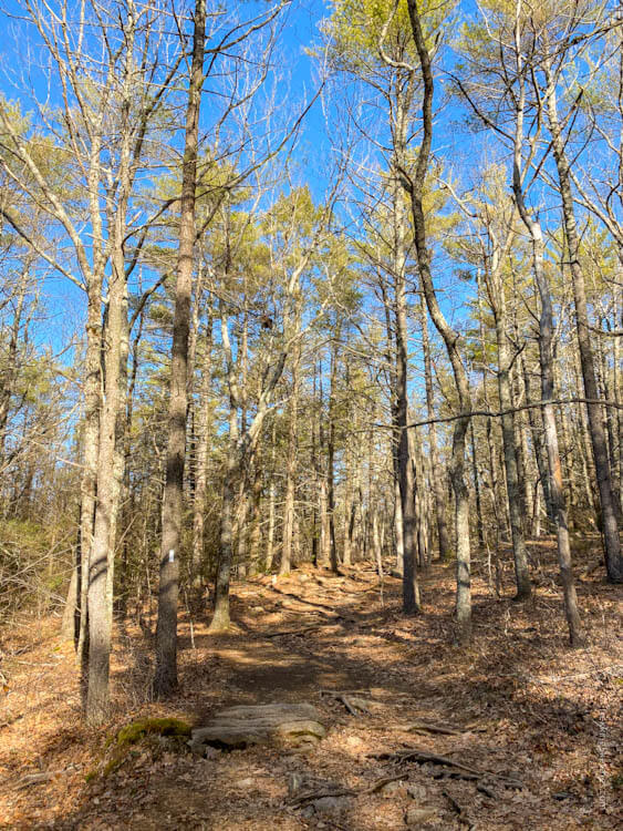 Mount Agamenticus and Nubble Lighthouse - Trekking Sketches