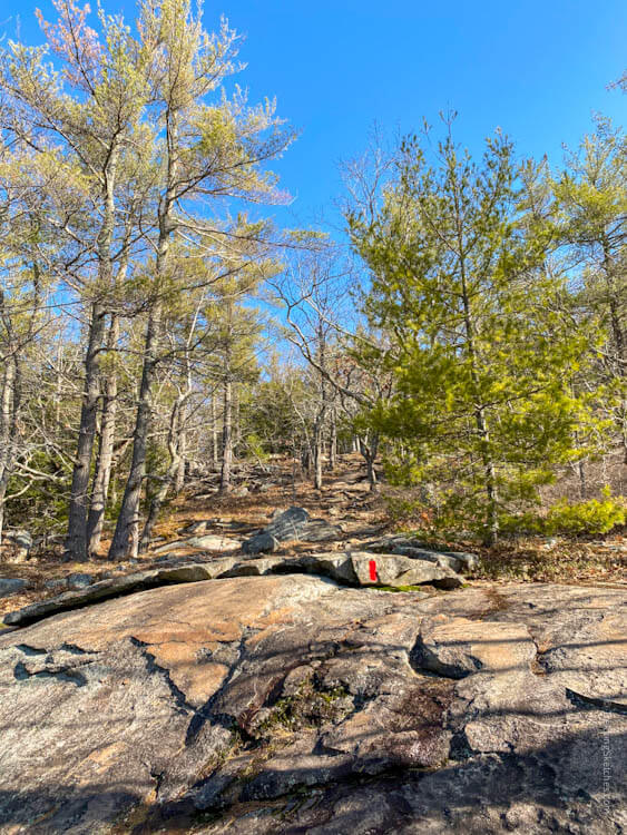 Mount Agamenticus and Nubble Lighthouse - Trekking Sketches