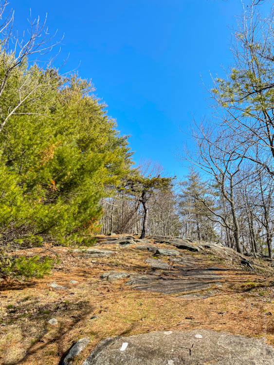 Mount Agamenticus and Nubble Lighthouse - Trekking Sketches