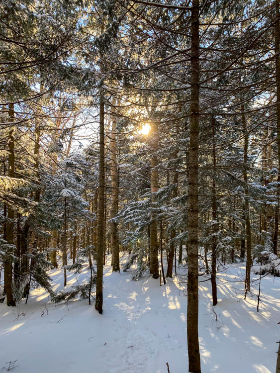 Mount Mansfield in Winter - Trekking Sketches